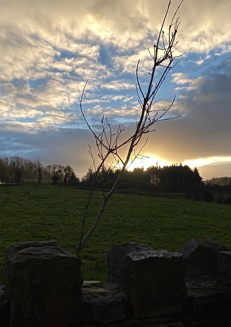Tuamgraney, Irland: Ein Einblick in den charmanten Dorfalltag im Westen ...