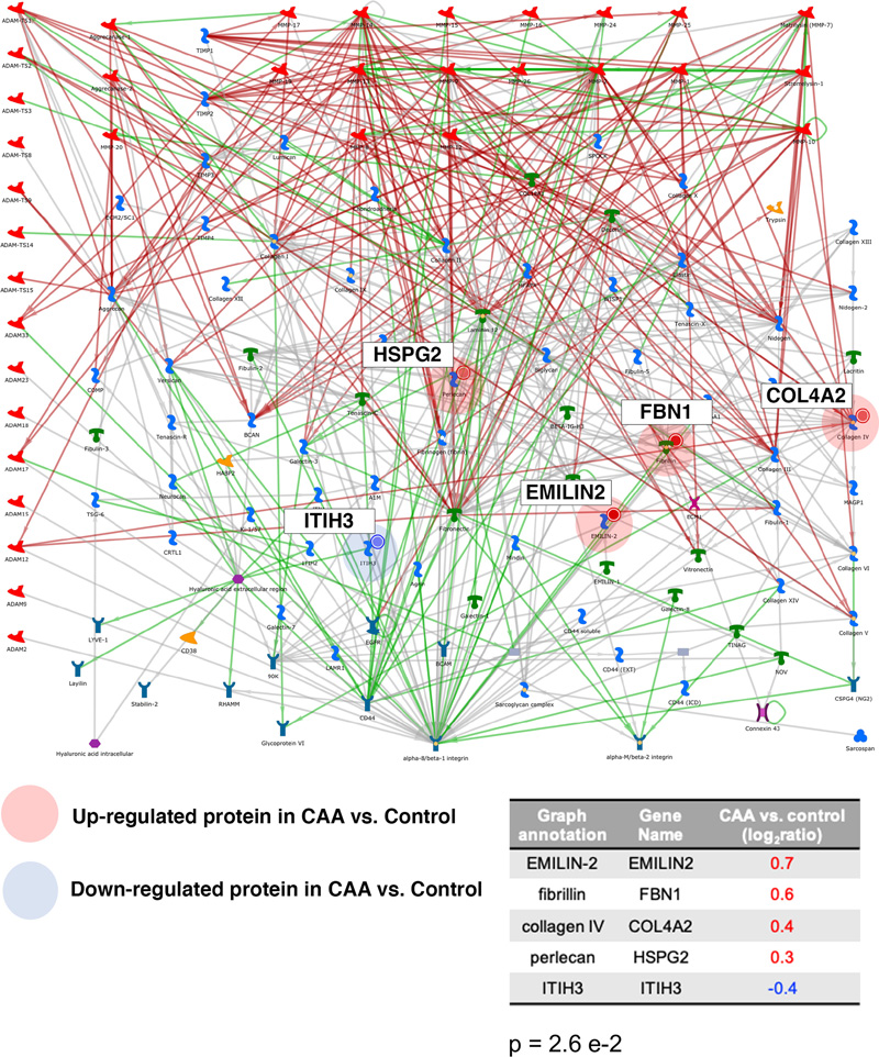 Quantitative proteomic profiling of white matter in cases of cerebral ...