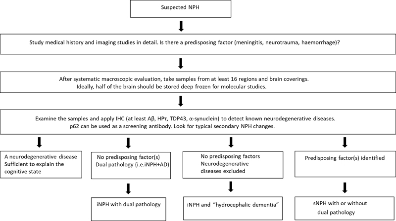 Neuropathological findings in possible normal pressure hydrocephalus: A ...