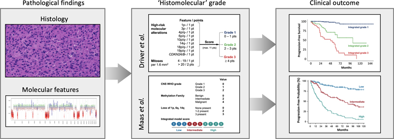 Neurooncology: 2022 update