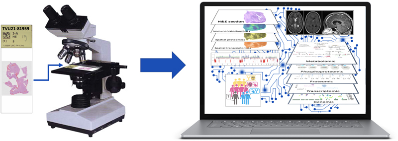 Neurooncology: 2022 update
