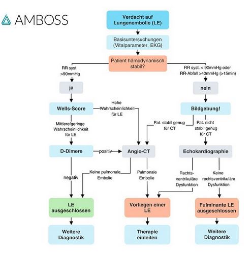 Amboss: viele neue klinische Flowcharts | Aktuelles