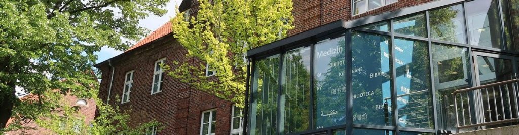 Hohe Übersterblichkeit und Corona-Impfung: Was hinter der Debatte steckt | Aktuelles