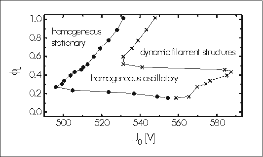 Homogeneous Oscillation