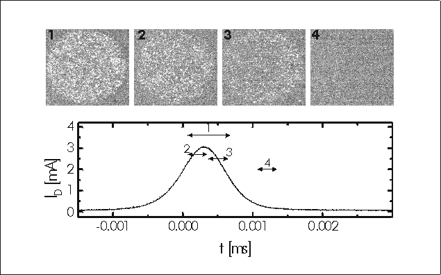 Homogeneous Oscillation