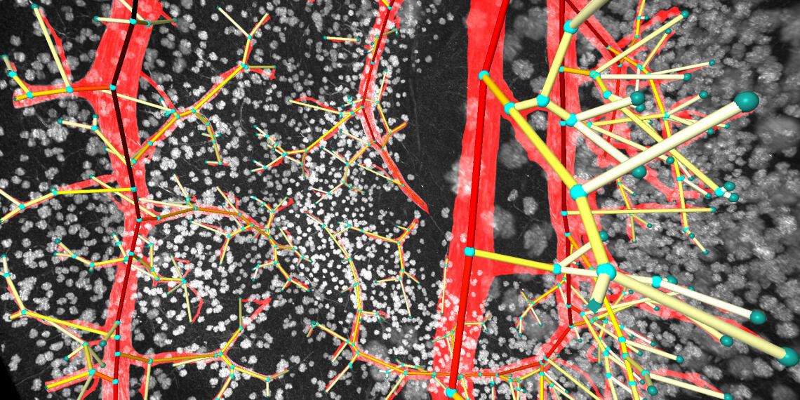 Project Z01 – Interactive and computational analysis of large ...
