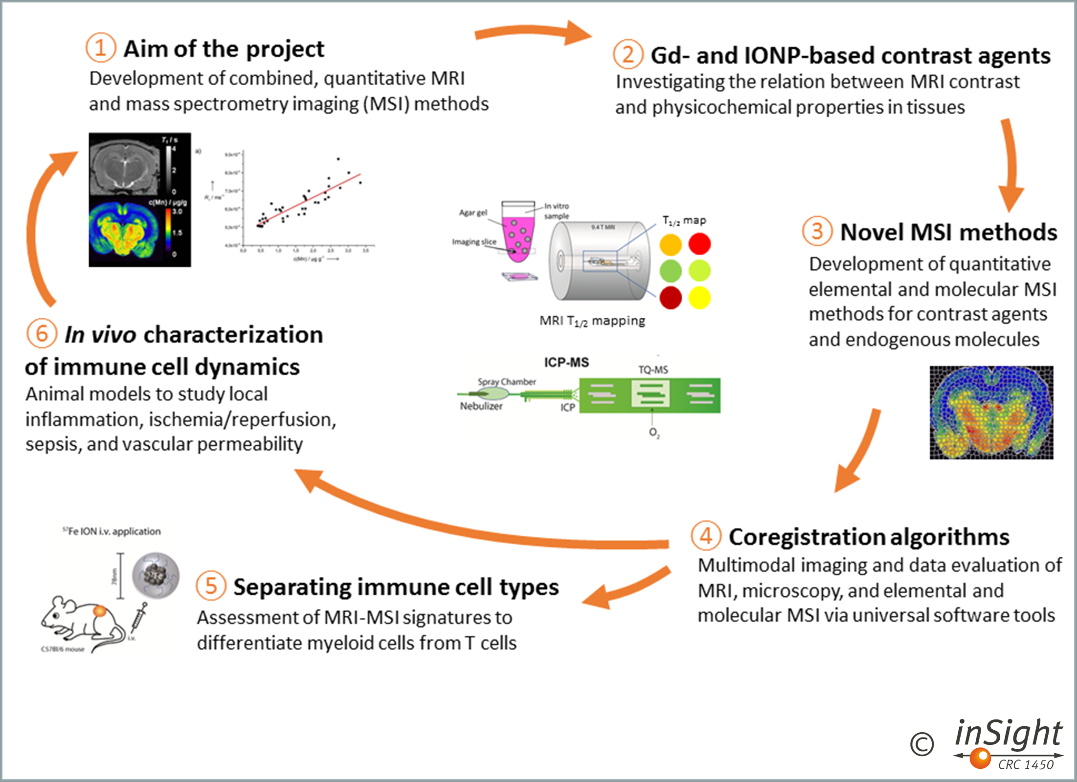 Project B02 – Quantitative MRI of organspecific vascular permeability ...