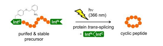 Technology development for protein semisynthesis