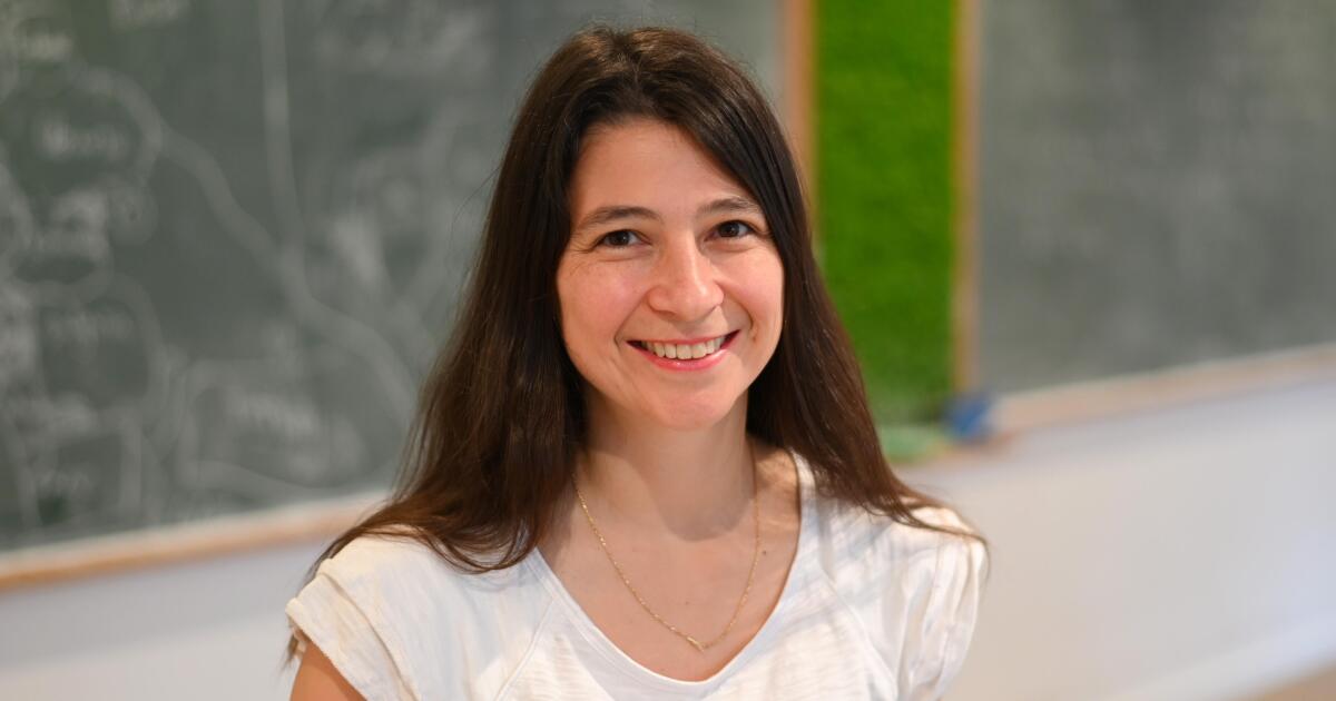 Münster Research Fellow: Dima Sinapova