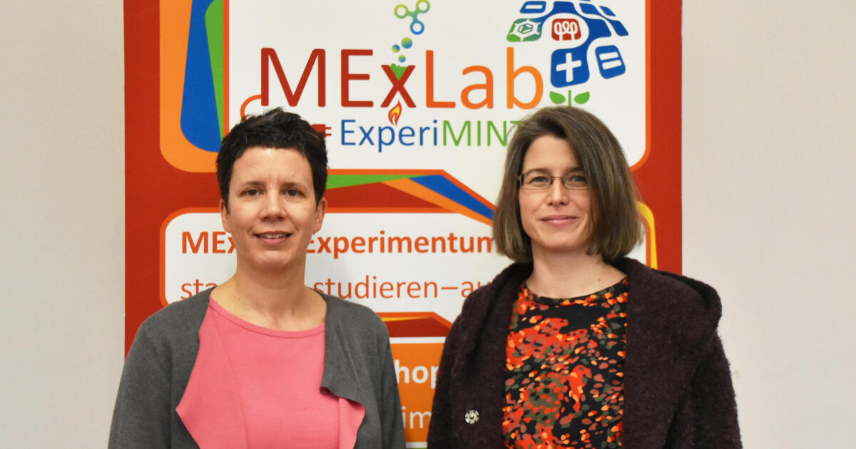 Collaboration MExLab