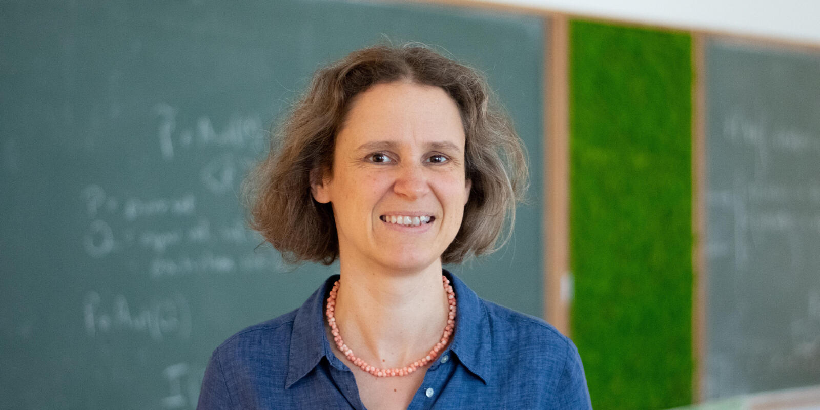 Mathematics Münster: Dynamics - Geometry - Structure