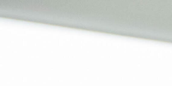 Young Research Fellows