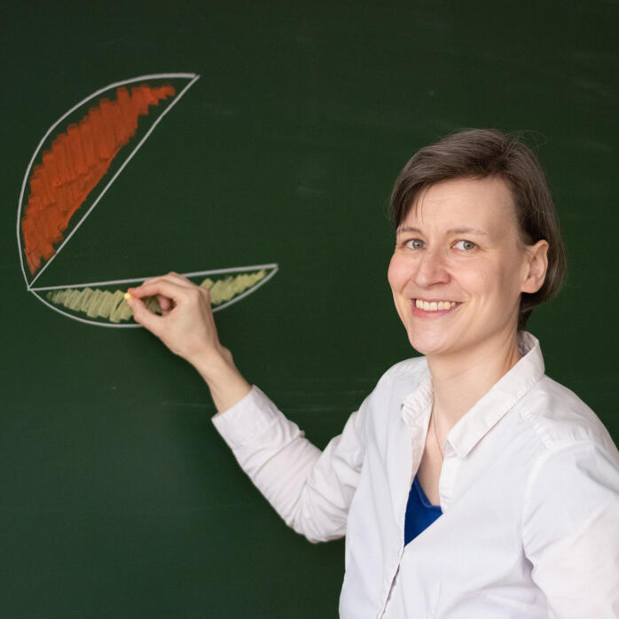 Brücken in der Mathematik