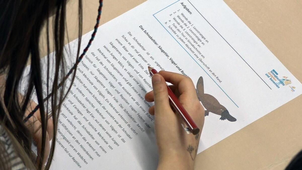 ProVision: Deutsch, 2./3./4. Klasse, 6. Einzelstunde - LST - Clip 4 ...