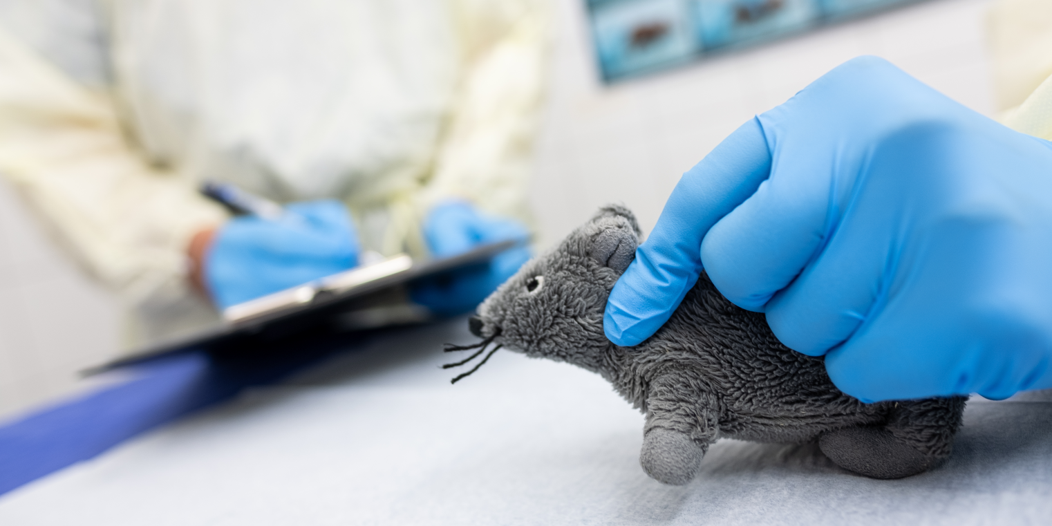 Tierversuche und Tierhaltung an der Universität Münster