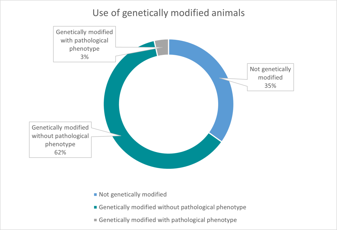 Genetically modified laboratory animals