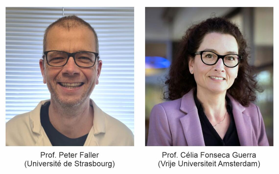 17th European Biological Inorganic Chemistry Conference (EuroBIC-17 ...