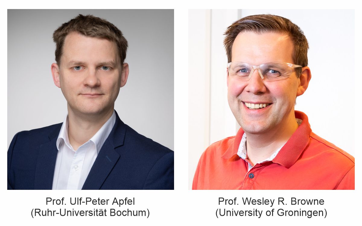 17th European Biological Inorganic Chemistry Conference (EuroBIC-17 ...