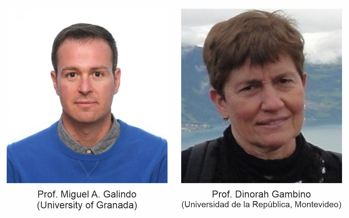 17th European Biological Inorganic Chemistry Conference (EuroBIC-17 ...