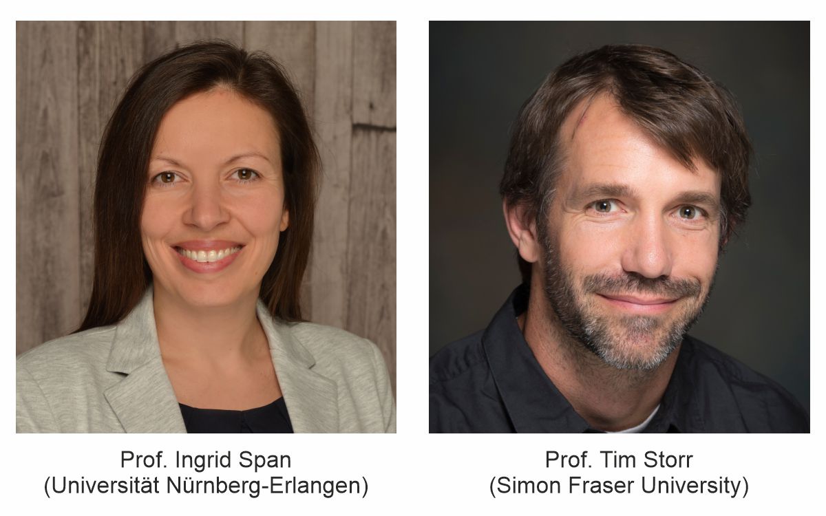 17th European Biological Inorganic Chemistry Conference (EuroBIC-17 ...