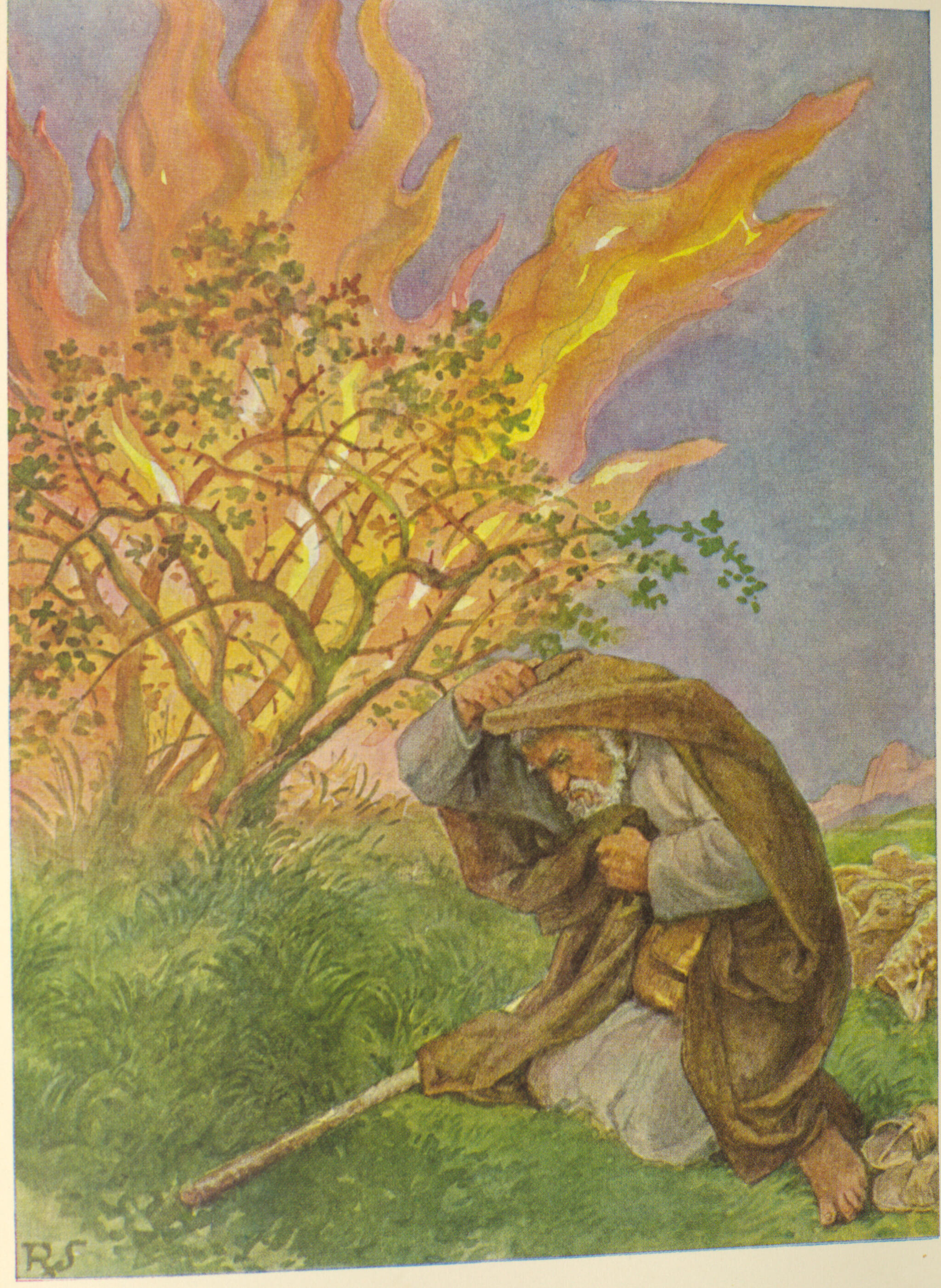 Brennender Busch
