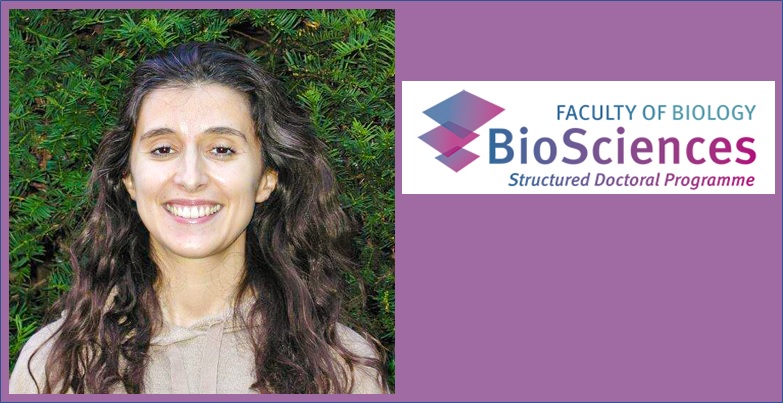 Homepage of the Faculty of Biology