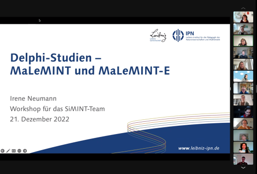 siMINT