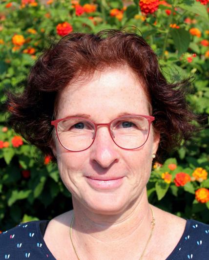 AG Hippler - Arbeitsgruppe