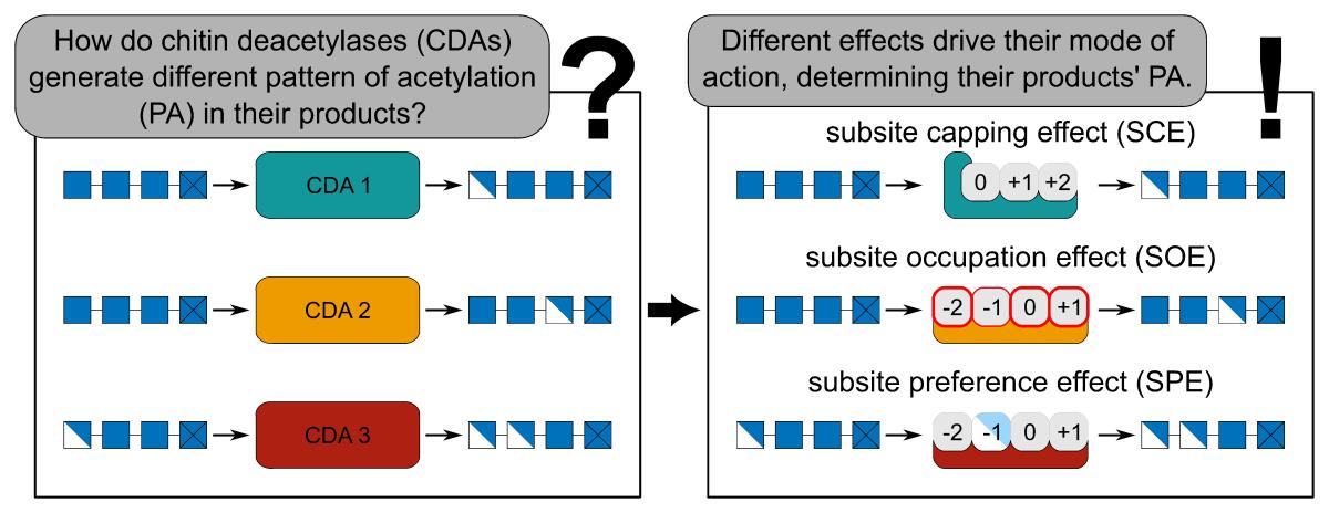 Paper accepted: Three intertwining effects guide the mode of action of ...