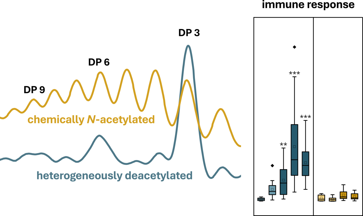 Paper accepted: Chitosan production methods influence receptor-mediated ...