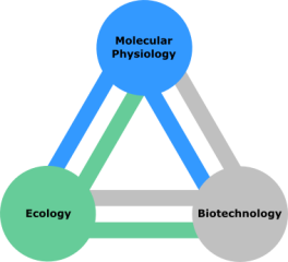 IMMB - Philipp - Profil
