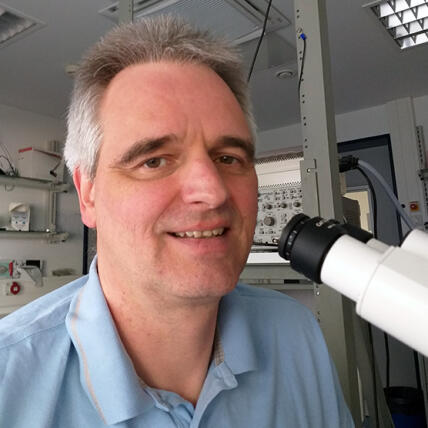 Budde, Thomas, Prof. Dr. rer. nat.