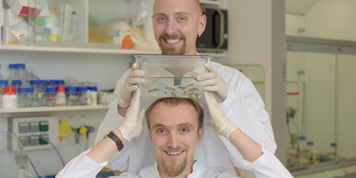 News | Lots of fresh ideas