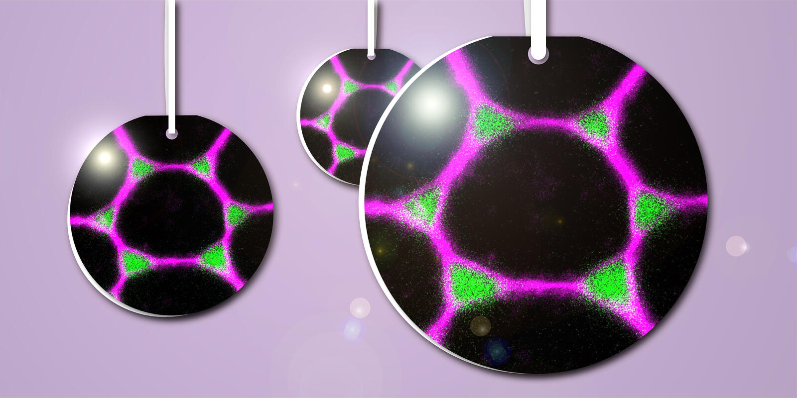 Science on the Christmas tree 2020