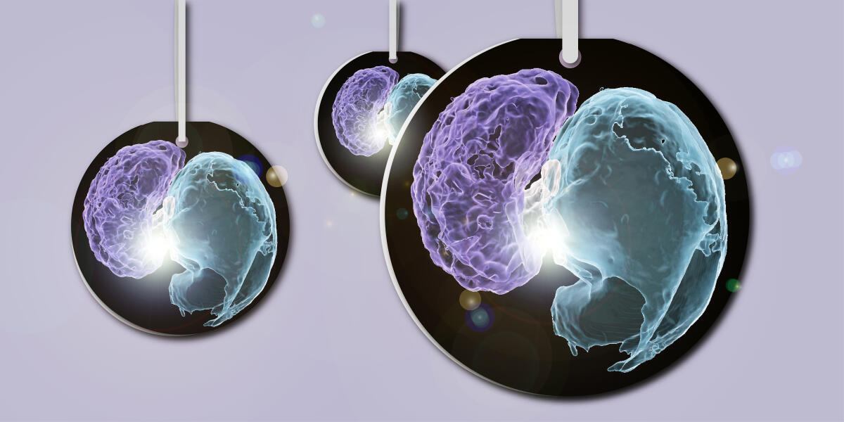 Science on the Christmas tree | Cells in Motion 2023