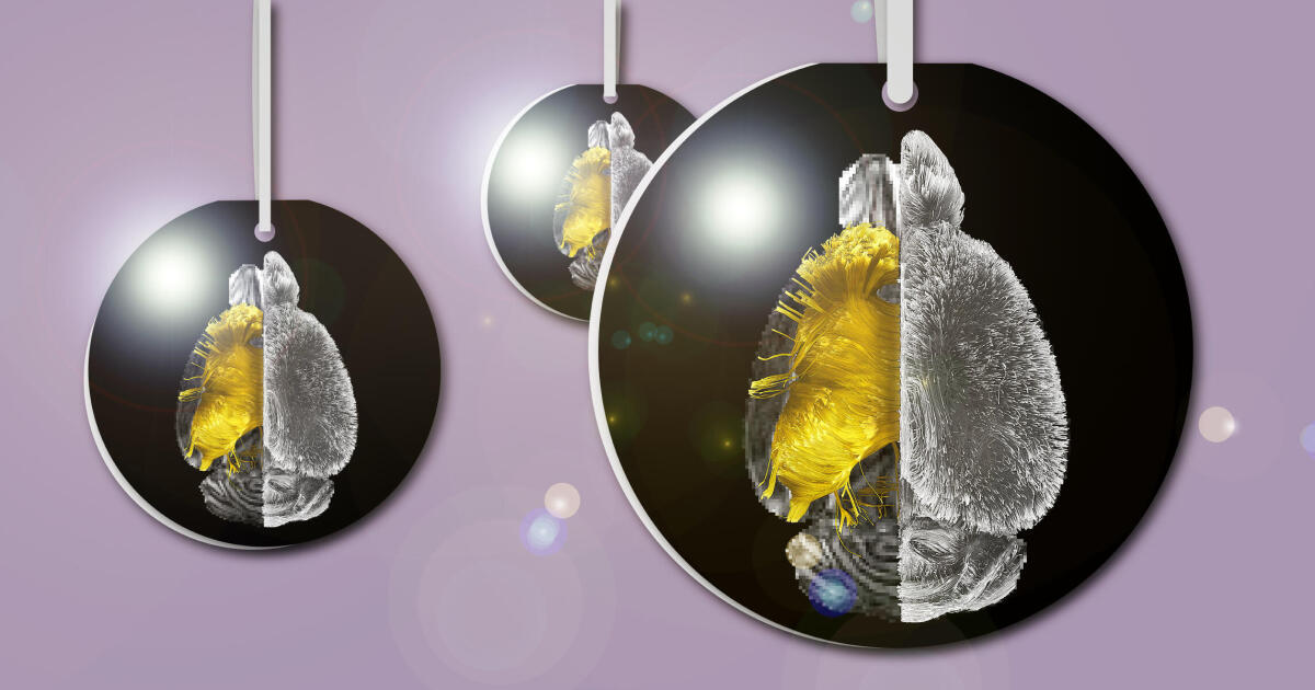 Science on the Christmas tree | Cells in Motion 2024