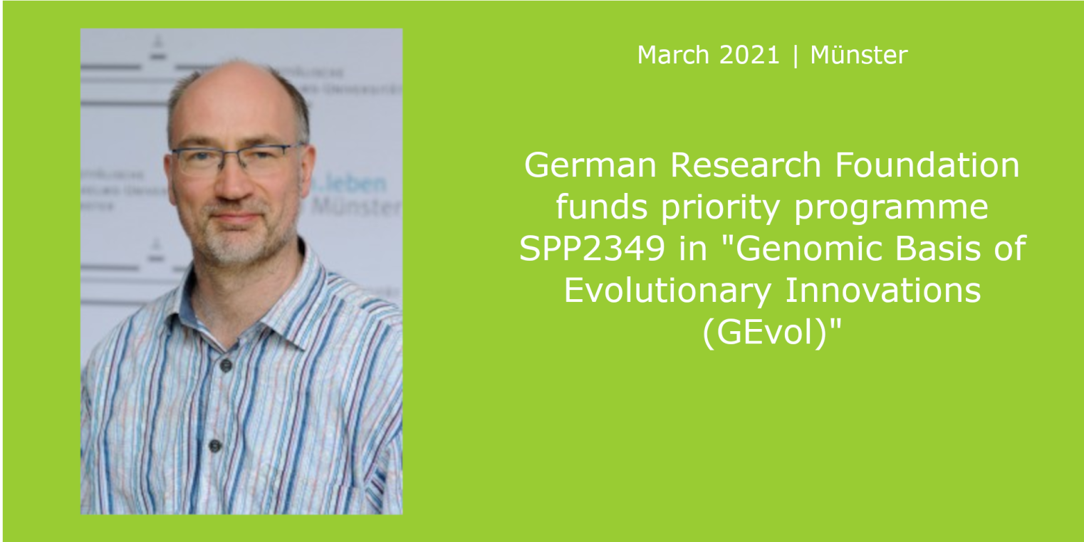 Institute for Evolution and Biodiversity