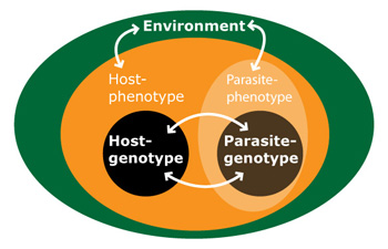 IEB - Group Animal Evolutionary Ecology - Research