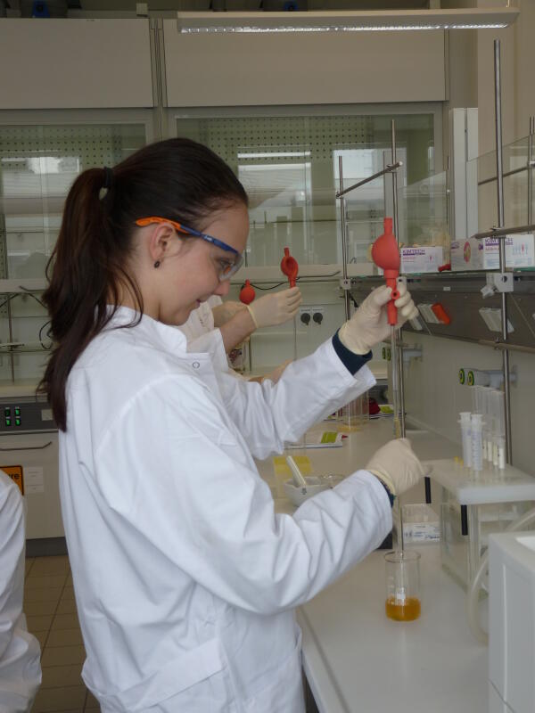 Lebensmittelchemie 2012