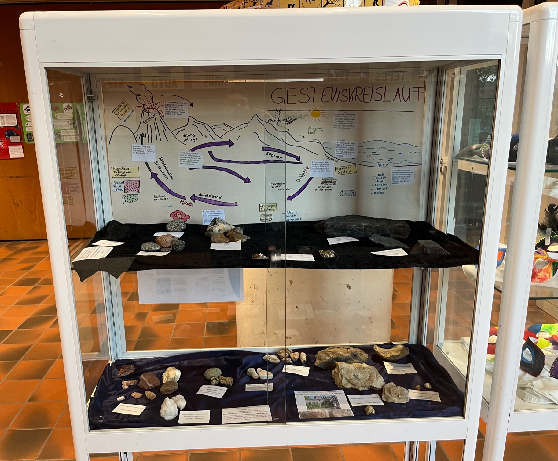 Geomuseum - Realschule Steinfurt