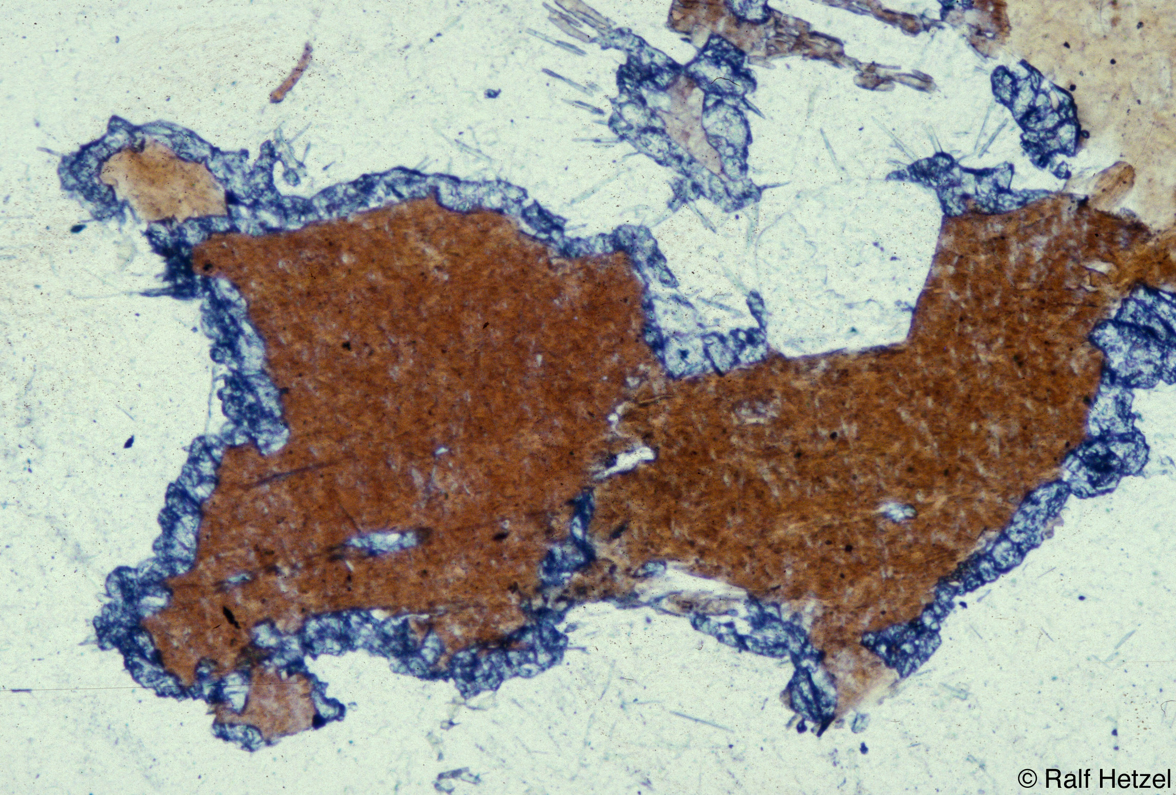 IGP - Tectonics and Structural Geology - Photo gallery - Deformation ...