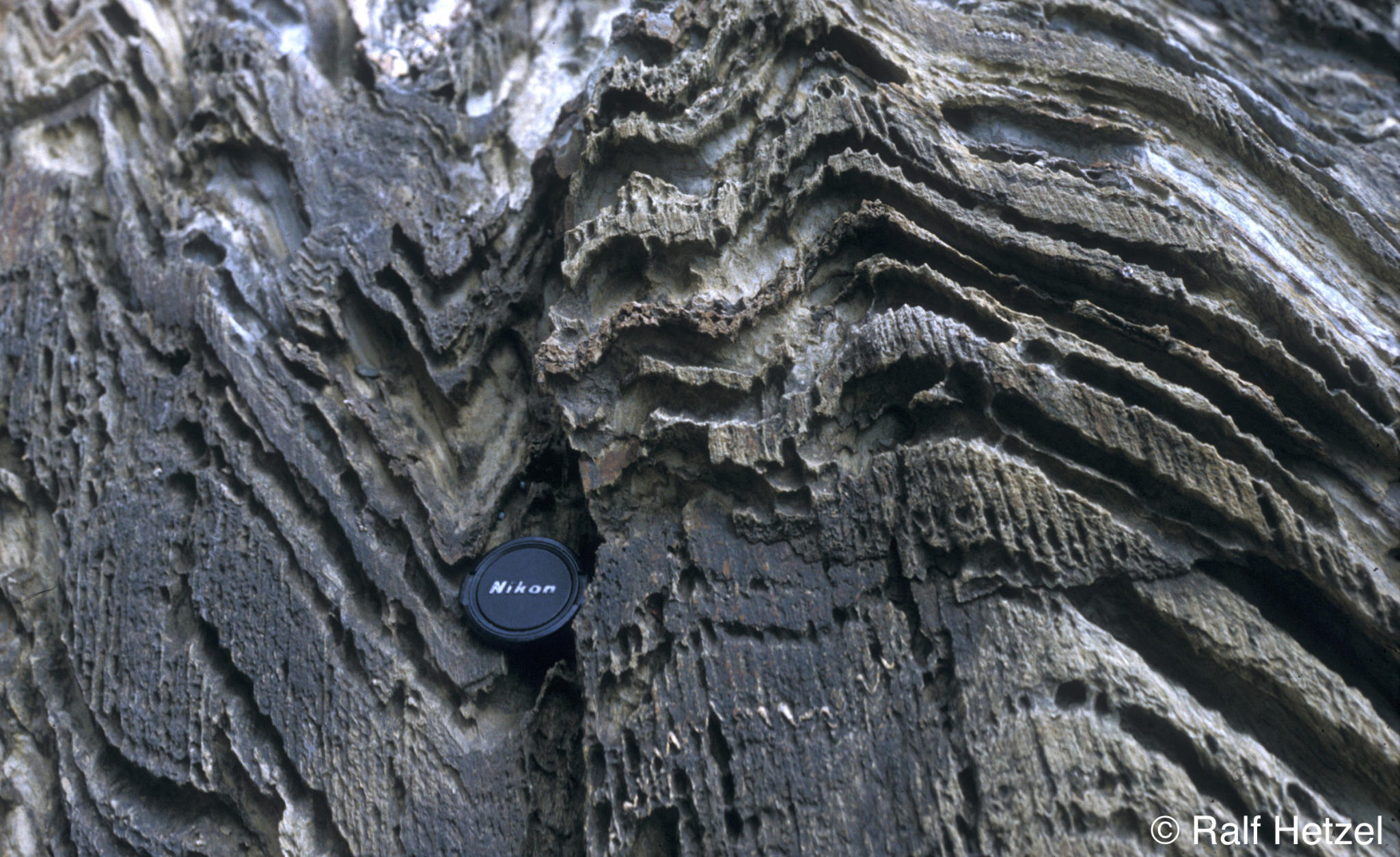 IGP - Tectonics and Structural Geology - Photo gallery - Deformation ...