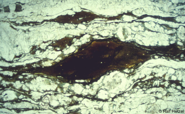 IGP - Tectonics and Structural Geology - Photo gallery - Shear sense ...