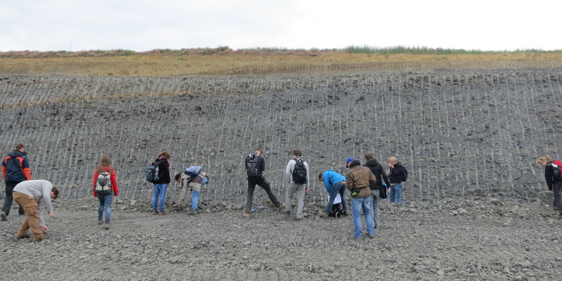 IGP - Historical Geology - Teaching
