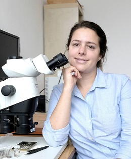 Prof.in Dr. Laura Stutenbecker