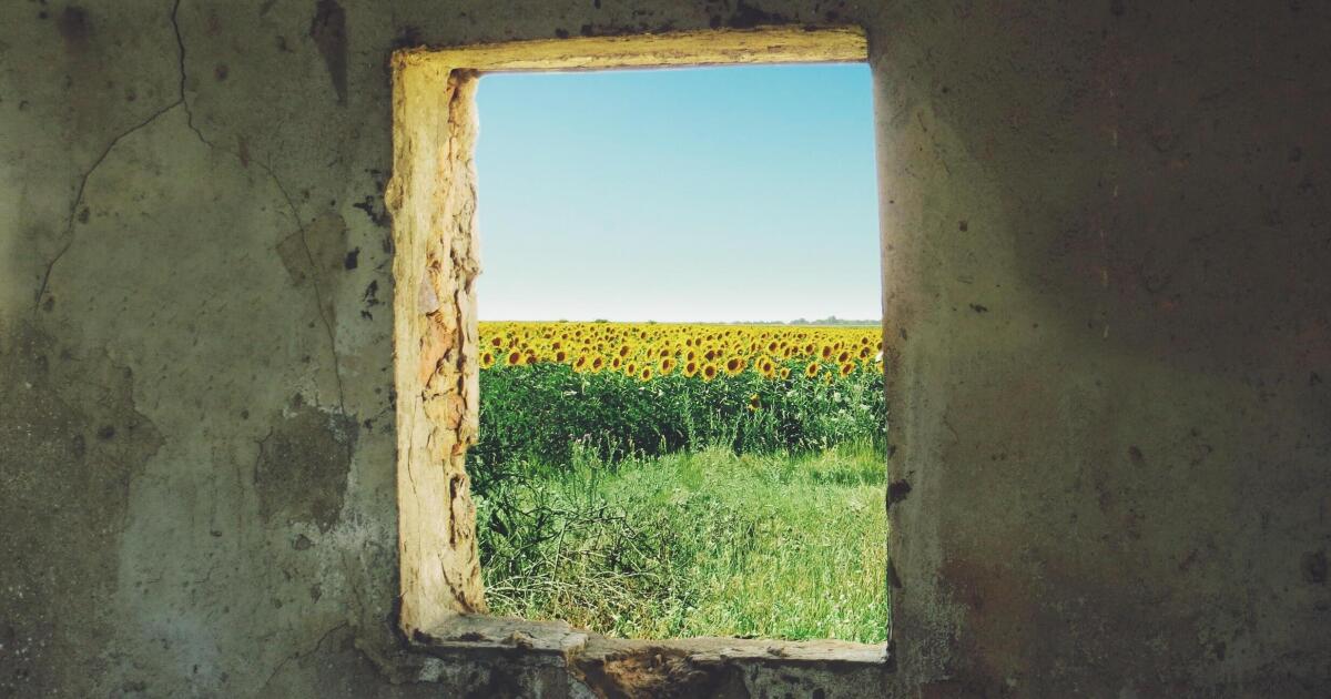 Die Ukraine und Europa. Perspektiven eines EU-Beitritts ...