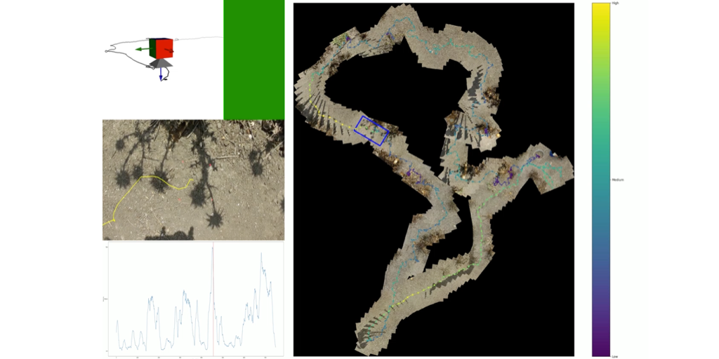 Visual Wildlife Tracking