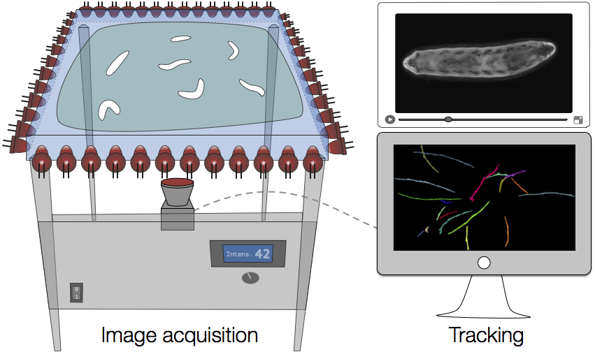 FIM Imaging & FIMTrack
