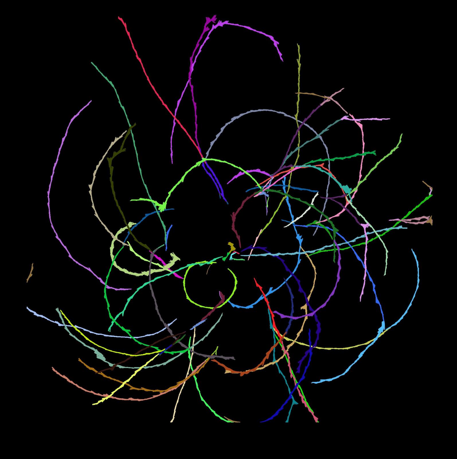 FIM Imaging & FIMTrack