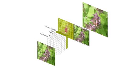 Home [www.uni-muenster.de]